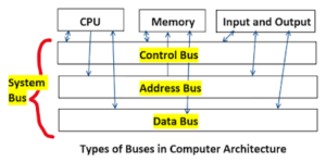 Bus structure in Computer Organization – EasyExamNotes.com